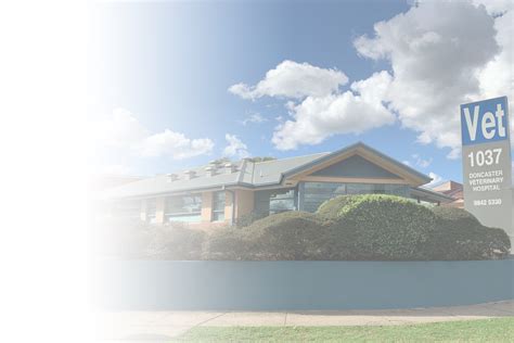 Specialist Reproduction And General Vet Care Doncaster Vet
