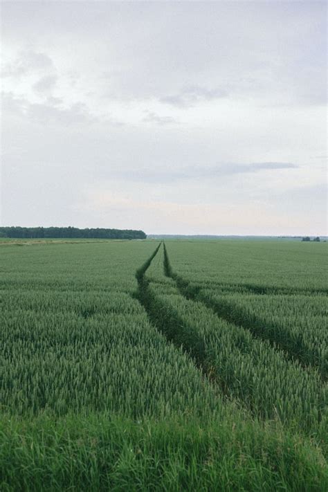 Free Road Landscape Field Summer Nohatcc