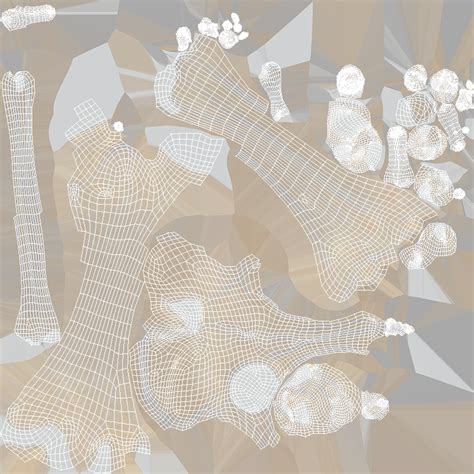 3d Human Osseous Model Turbosquid 1484853