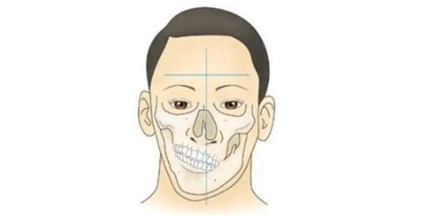吃東西總咬腮幫子，要去看牙醫麼？ 資訊咖
