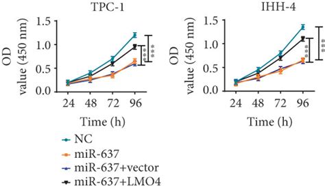 Mir 637 Suppresses Cell Malignant Phenotypes In Ptc Cells By Targeting