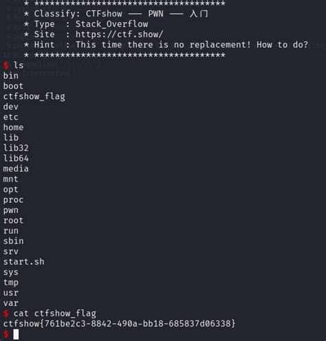 CTFshow PWN入门 栈溢出pwn41 pwn48 nc pwn challenge ctf show 28147 CSDN博客