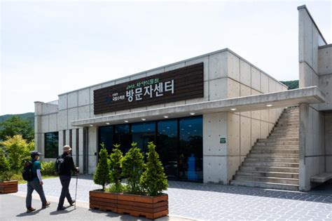 국가숲길 1호 Dmz 편치볼 둘레길 자생식물원 두피디아 여행기