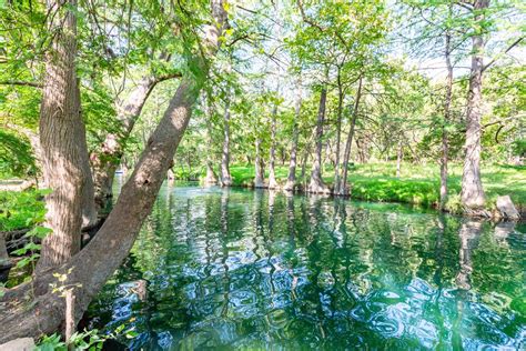 How To Visit The Blue Hole In Wimberley Faq Lone Star Travel Guide