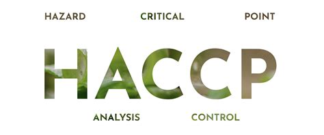 Formation Haccp Analyse Des Risques Et Maitrise Des Points Critiques