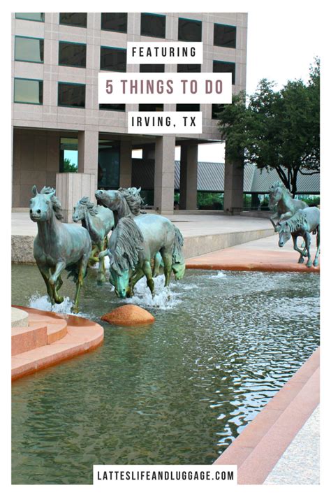 5 Things To Do In Irving Tx — Lattes Life And Luggage Things To Do