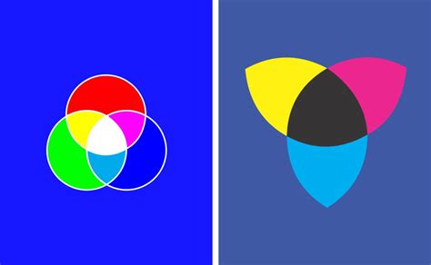 Amara Media Paper And Synthetic Posters