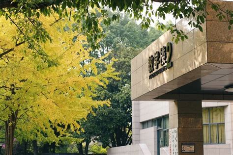 提前部署，统筹推进 鸿恩寺公司顺利进场重庆邮电大学校园绿化管理与养护项目 重庆市鸿恩寺公园管理有限公司