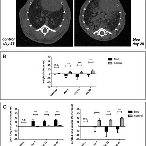Longitudinal In Vivo Lung Micro Ct Derived Biomarkers For Download Scientific Diagram