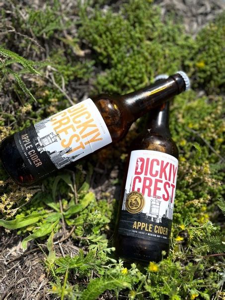 Dickiy Crest" — флагманский сидр, с которого началась история Rebel ...
