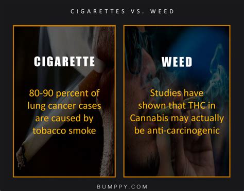 7 Logical Reasons That Bring Up Why Weed May Be More Healthier