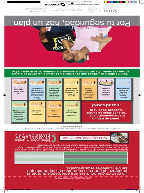 Plan De Seguridad Embarazo Pdf Reproducción Humana Ciencias De La