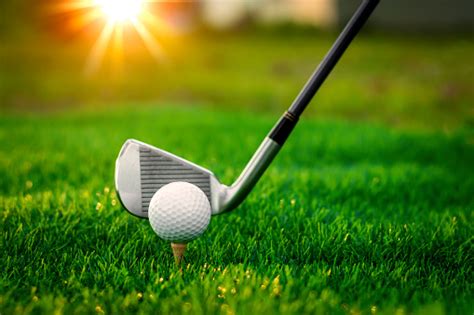 골프 공은 골프 배경의 흐릿한 아름다운 풍경에 티 잔디에 닫힙니다 건강 완화를위한 정밀 기술에 의존하는 개념 국제 스포츠 0명에 대한 스톡 사진 및 기타 이미지 Istock