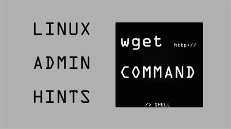Use Of Wget Command Youtube