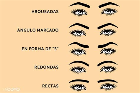 Maquillaje Sabes Cual Es Tu Tipo De Ceja Facebook 53 Off