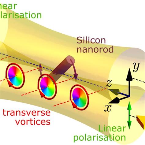 Pdf Structured Transverse Orbital Angular Momentum Probed By A