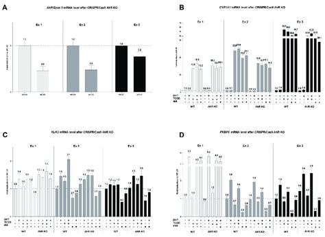 Expression Of Target Genes After CRISPR Cas9 AhR Knockout 22Rv1 Cells