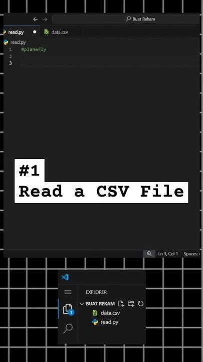 Read A Csv File Python Coding Csv File Handling Programming Youtube