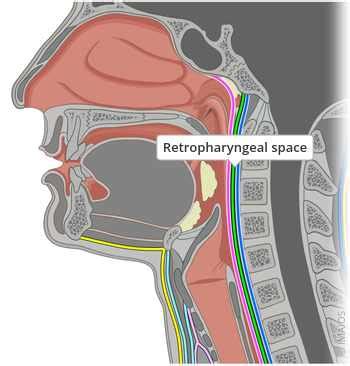 Retropharyngeal Space E Anatomy Imaios