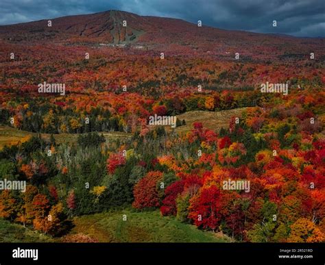 Leaf Color Vermont