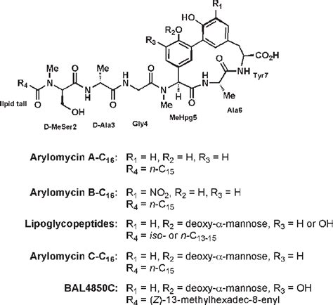 Figure 1 From Synthesis And Characterization Of The Arylomycin