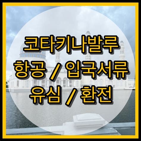 코타키나발루 진에어 항공 입국신고서 코타키나발루 공항 유심 환전 네이버 블로그