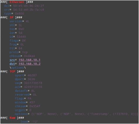 Techmight Solutions Syn Flood Attack Using Scapy