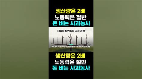 [한국농수산tv] 생산량은 2배 노동력은 절반 돈 버는 사과농사 Youtube