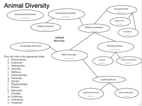 Solved Assistance With Completing The Concept Map Below Chegg