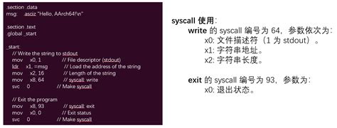 Aarch64汇编开发环境准备：gnu Gcc Qemu Gdb 极术社区 连接开发者与智能计算生态