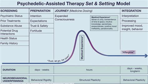 Psilocybin For Mental Health What You Need To Know A Health Guide