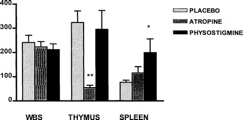 Figure 2 From Adrenergic Cholinergic Immunomodulation In The Rat Model—in Vivo Veritas