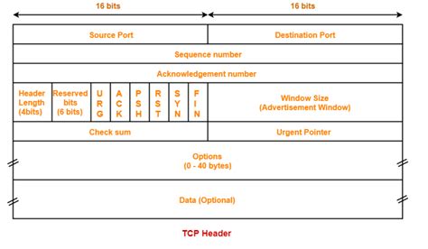 Transport Layer Protocols Naukri Code 360