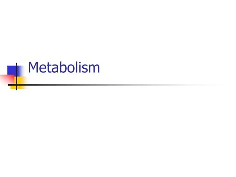 Ppt Metabolism Powerpoint Presentation Free Download Id710102