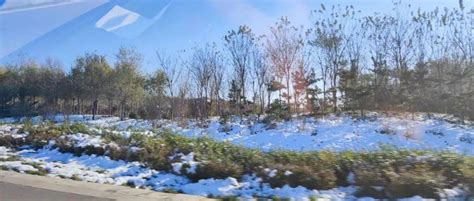 试试如意，助力考生（十九）我国首创“永不融化的冰雪”凝胶高聚物网络