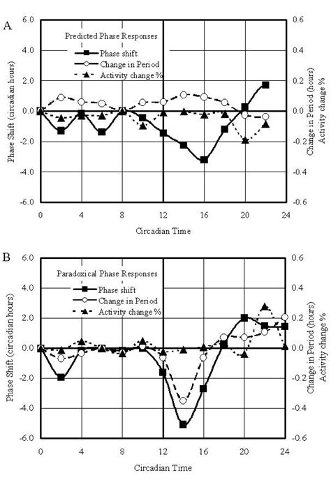 Phase Response Patterns For Predicted Phase Responses A And