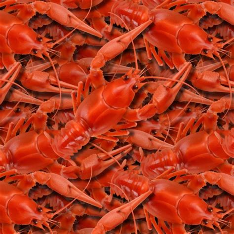 Crustacean Patterns