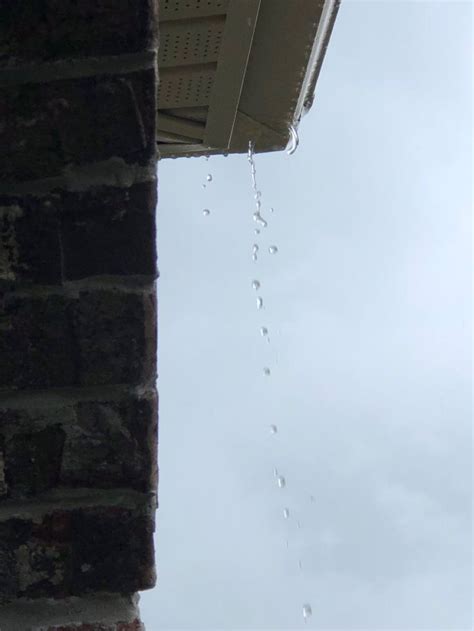 Gutter Issue Gutter Wood Brows