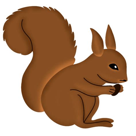 Hand Drawn Squirrel 27605564 Png