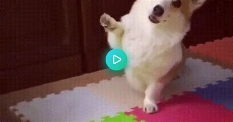  On Imgur