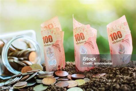 유리 항아리에 지폐 동전 100 바트 타이 통화 녹색 배경 흐리게 자연에 대 한 토양에서 성장 개념에 대한 스톡 사진 및 기타