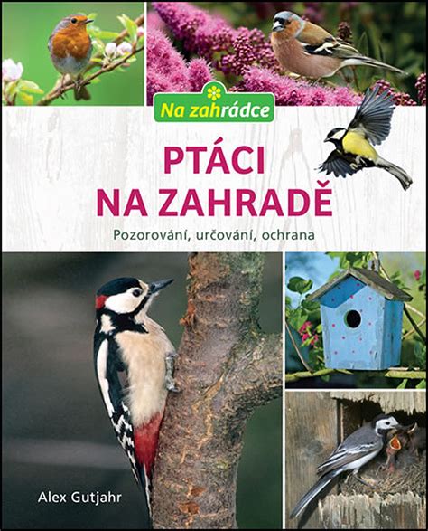 Aradacz Ptáci Na Zahradě