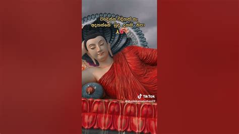 වරදින්න විදිහක් නෑ අහන්නෙ බුදු දහම නිසා සාදු සාදු සාදු 🙏🙏🙏🪷🪔☸️ Youtube