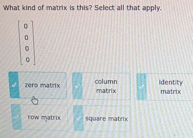 Solved What Kind Of Matrix Is This Select All That Apply 0 Zero
