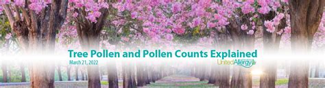 Tree Pollen And Pollen Counts Explained United Allergy Services