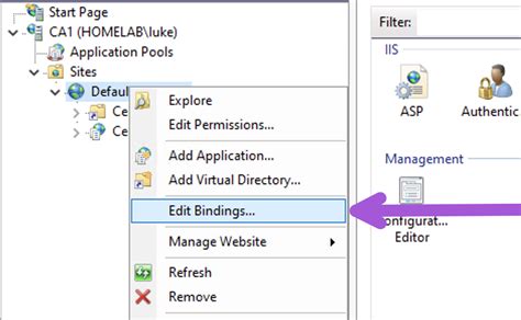 Step By Step Guide To Enabling Sql Server Encryption Web Enrollment