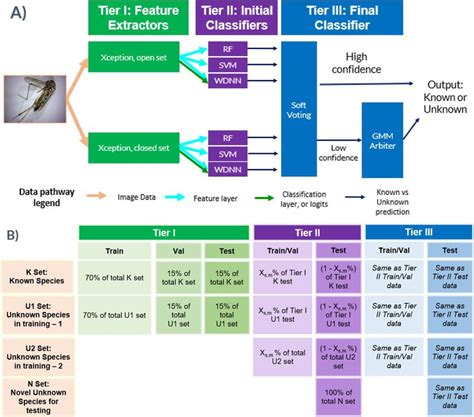 Mosquito Species Identification Using Convolutional Neural Networks With A Multitiered Ensemble