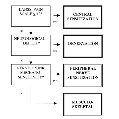 Classification Algorithm Download Scientific Diagram