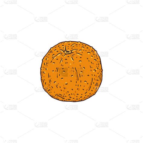 矢量插图孤立在白色背景