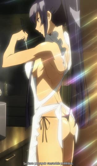 Character Spotlight Saeko Busujima Luscious Hentai Manga And Porn